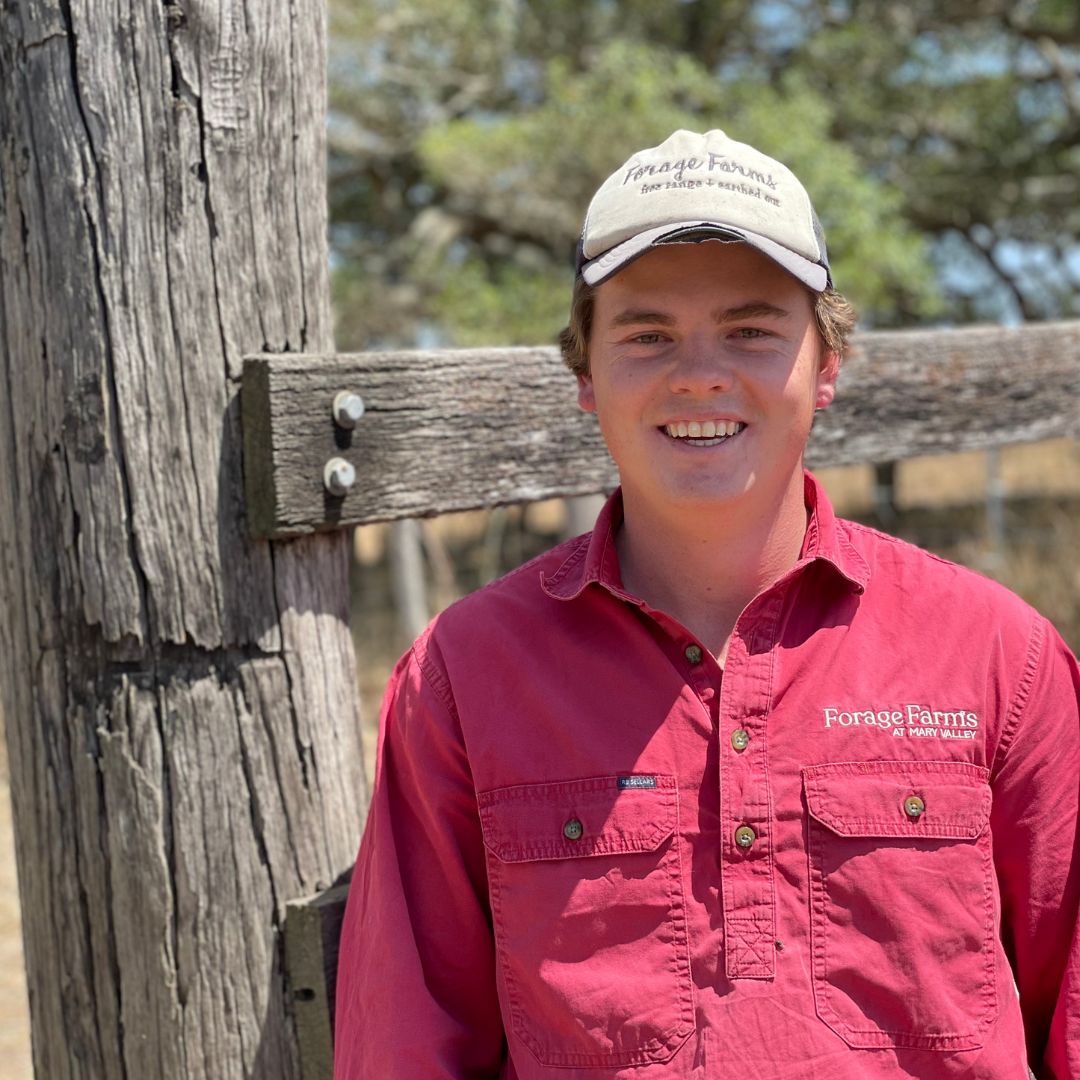 Meet the Maker: Natural Sequence Farming with Hamish Andrews at Forage ...