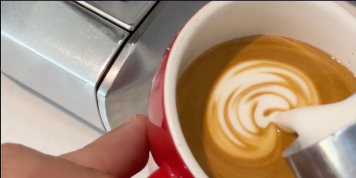 Stretch milk like a Pro with these 6 simple steps – Montville Coffee