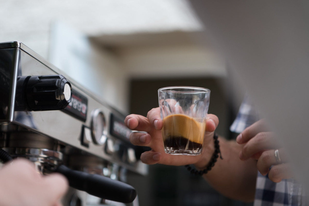 Espresso & Milk Training – Montville Coffee